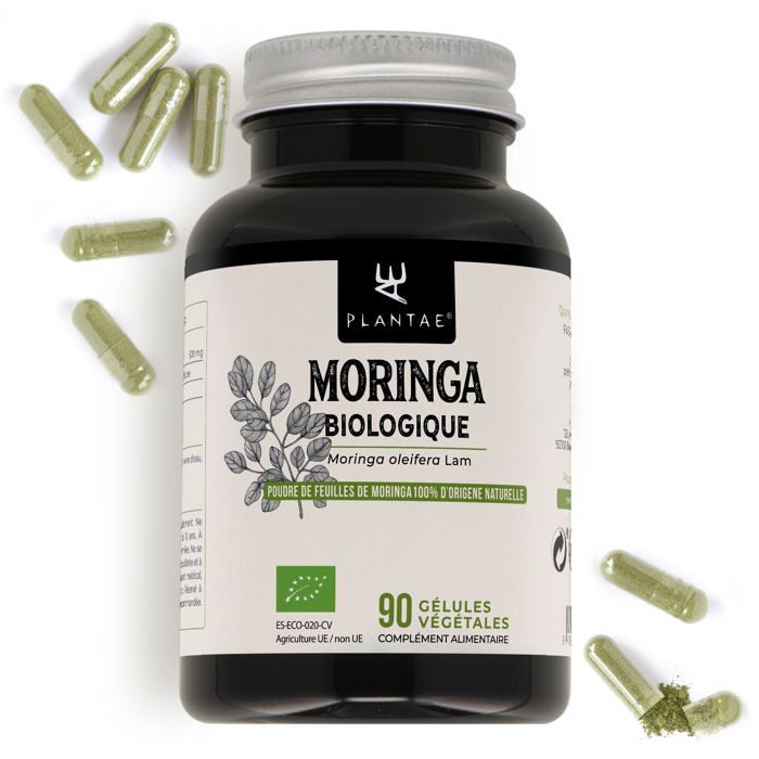 MORINGA BIO * 90 gélules de Poudre de feuilles de moringa bio ...