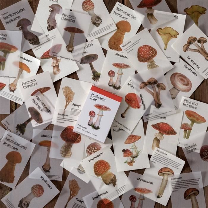 Bloc note,carte rétro Vintage avec plante pour décoration,papier à ...