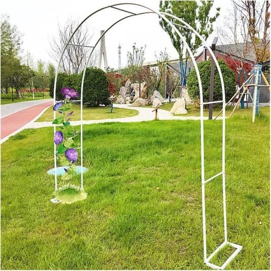 Jardin Métal Arche, Jardin Archway Poudre Coated Acier Trellis Pour Les ...
