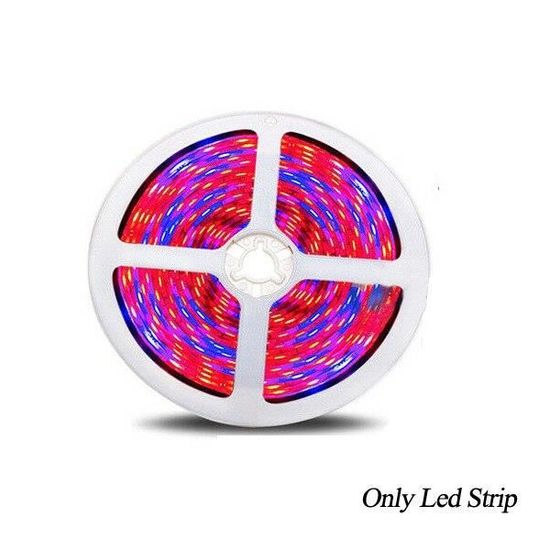 LAMPE DE CULTURE,Only Led Strip-Waterproof IP65-10M--Lampe horticole de ...