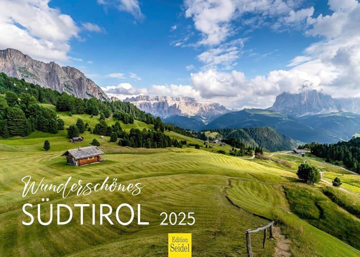 Calendrier mural 2025 de qualité supérieure - Format A3 - Motif : Alto ...