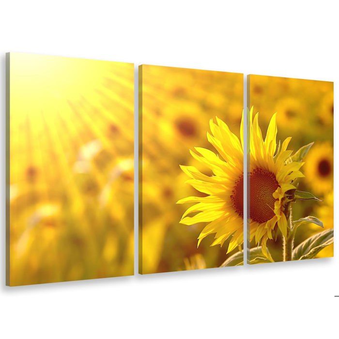 Tableau Mural - HXA DECO - Tournesol - 90x60cm - Impression Haute ...