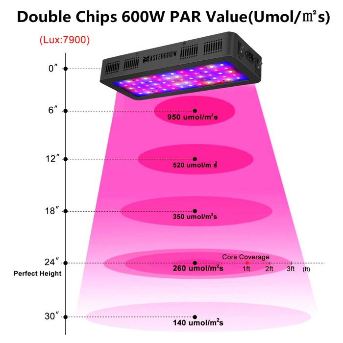 LED GROVE LED, spectre complet, économie d'énergie, conception robuste ...