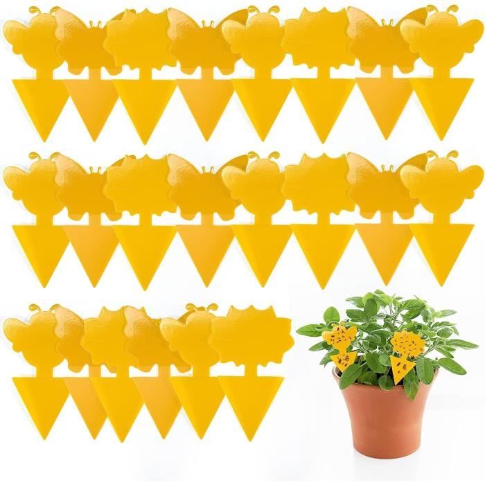 PIEGE POUR NUISIBLE - CAGE POUR NUISIBLE 24 Pièces Anti Moucherons ...