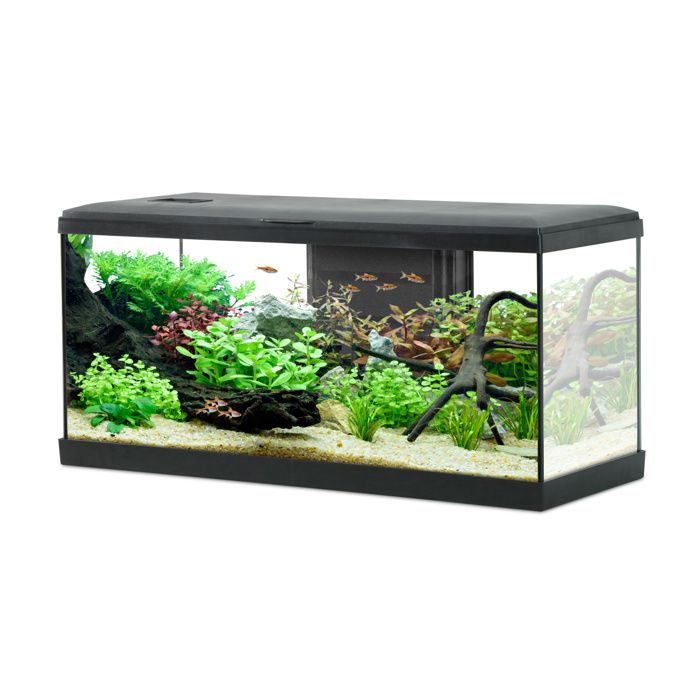 Aquarium poisson Tana LED 80cm noir - Zolux Noir - Cdiscount Animalerie