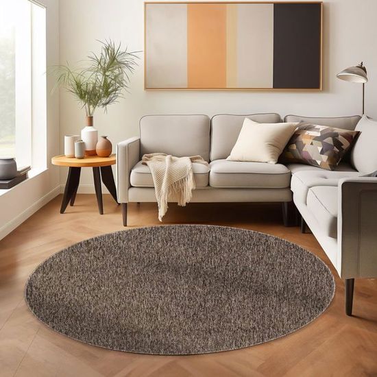 Tapis À Poils Ras, Unicolor - Monochrome, Tapis Marron, 160 Cm Rond ...