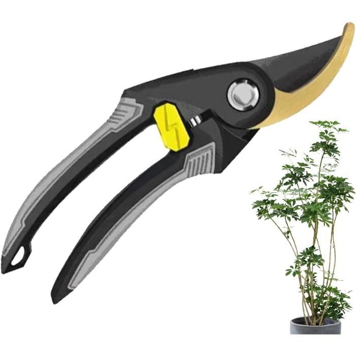 Sécateurs, Cisailles À Fruits | Ciseaux À Fleurs Pour Tiges | Avec Verrou De Sécurité Et Ciseaux ...