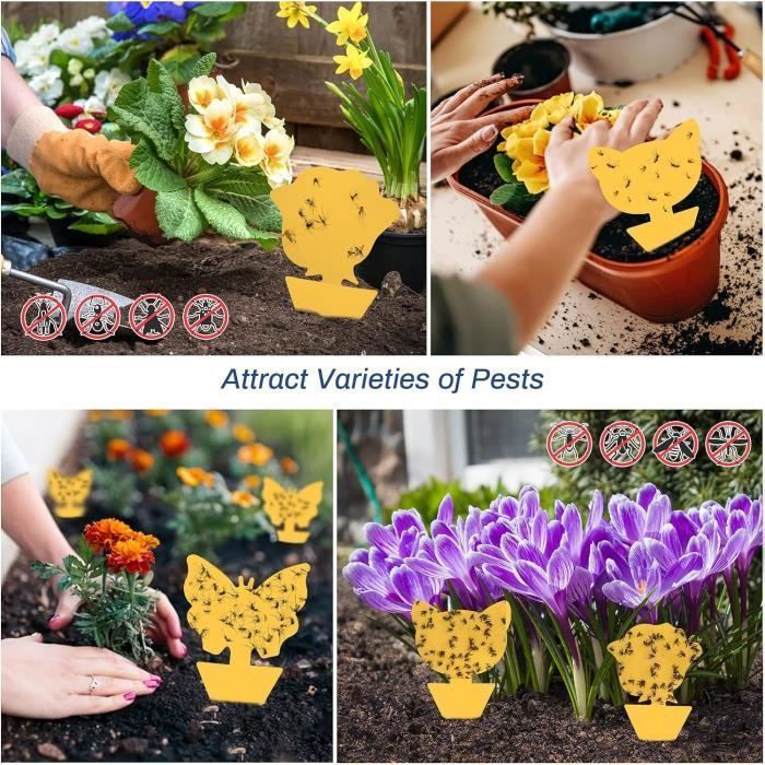 60PCS Anti Moucheron,Attrape Mouche Interieur,Pièges à Insectes Cuisine ...