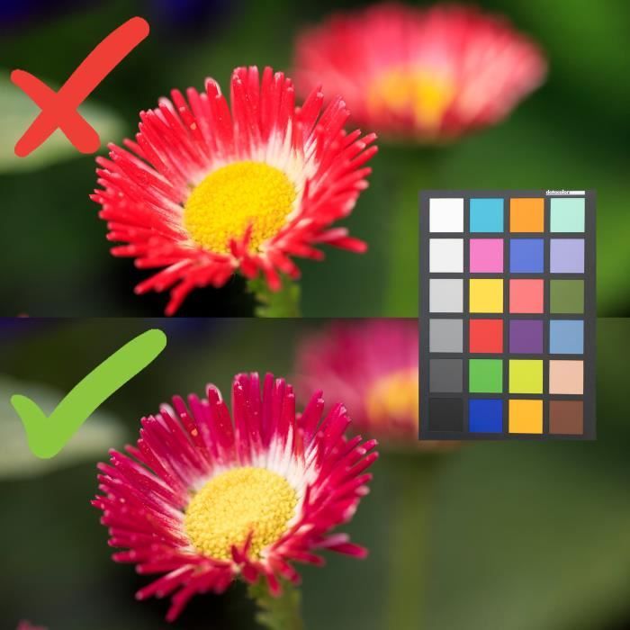 Datacolor SpyderCheckr 24 Mire pour l`étalonnage de l`appareil photo ...