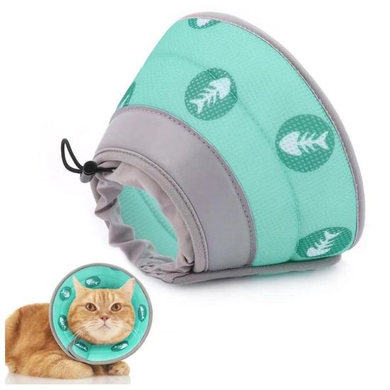 Collerette pour Chat Anti Lechage Rréglable Anti Grattage Anti-Morsure ...