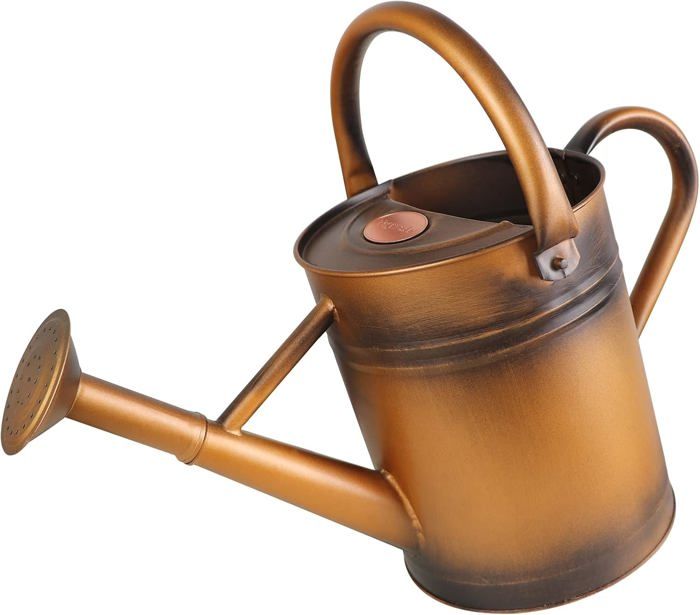 Arrosoir en acier galvanisé de 3,8 l avec bec amovible pour jardinage ...