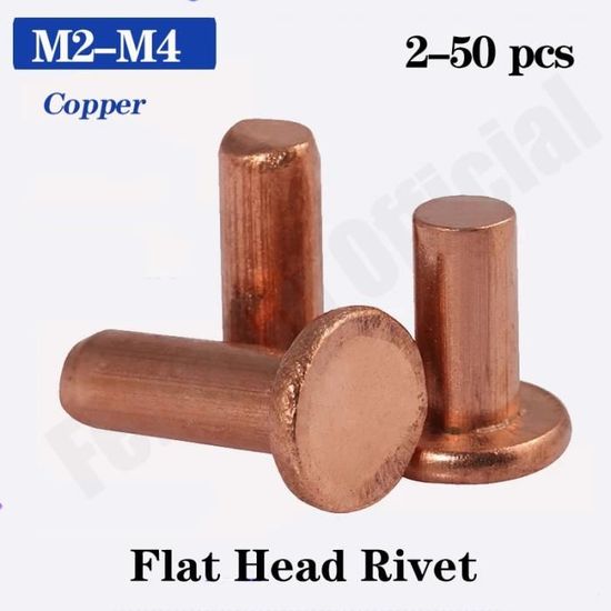 M3 (20Pcs)-4mm -Rivets solides en cuivre à tête plate,[M2 M2,5 M3 M4 M5 ...