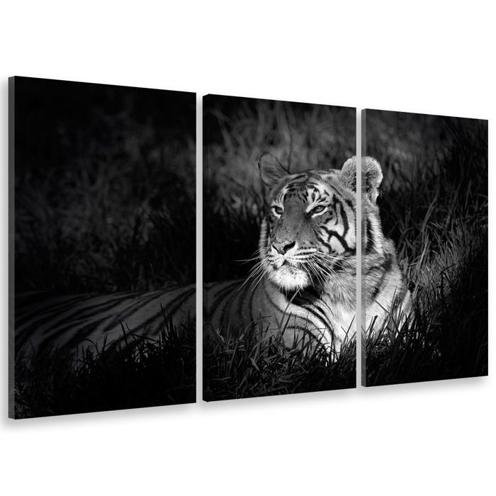 Tableau Triptyque Photo - HXA DECO - Tigre au Repos - 90x60 cm ...