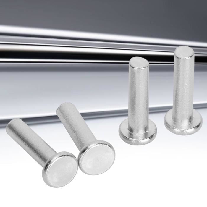SAL Rivet solide (M6*25)20Pcs Gb867 M6 Rivets En Aluminium Massif à ...