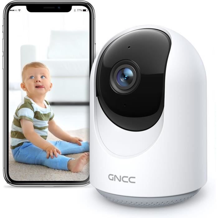 Camera Surveillance WiFi 1080P, Caméras de Surveillance 2.4G, Détection ...