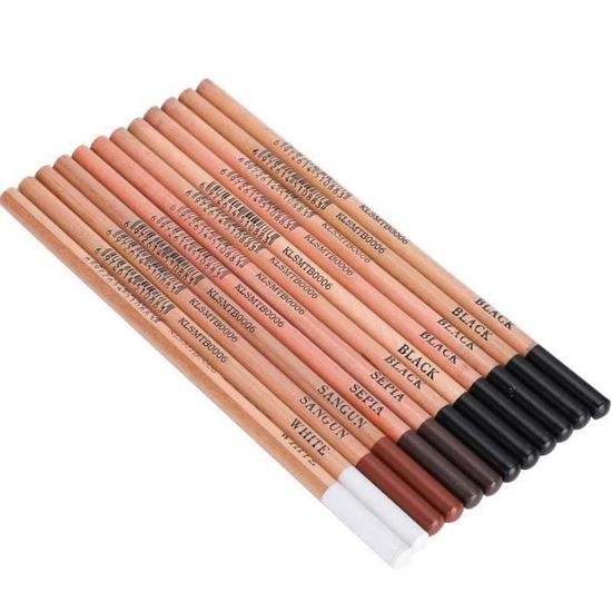 Shiny-crayon de croquis 12 pièces crayons de charbon de bois Pastel ...
