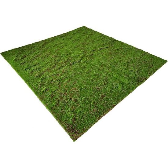 Mousse Murale Végétale Artificielle Pour Fausse Pelouse Scène Herbe ...