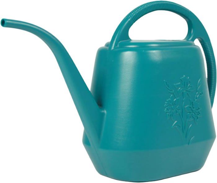 Arrosoir En Plastique De 3,8 L Avec Poignée Confortable, Arrosoir À ...