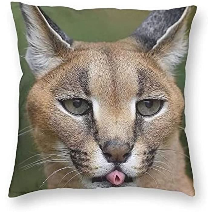 Big Floppa Rappeur Roi Couronne Poppa Meme Décoratif pour la Maison ...