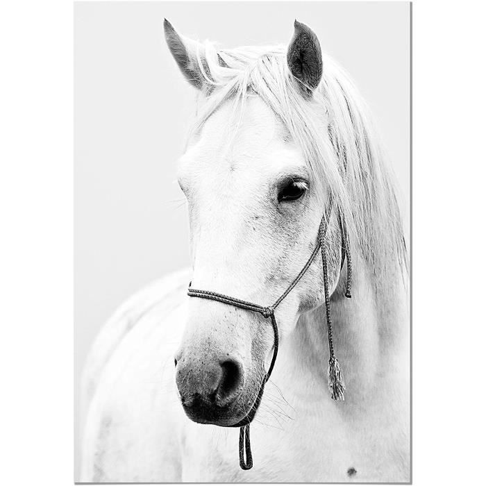 Panorama Poster Cheval 50x70cm Imprimée sur Poster de Grande qualité ...