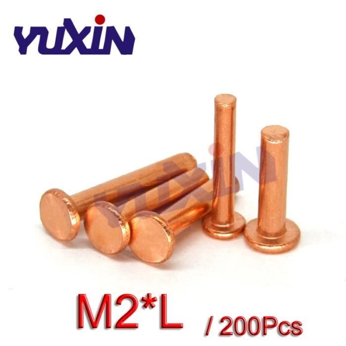 M2X3mm 200Pcs -Rivets en laiton massif GB109 M2 * L,200 pièces,Rivets ...