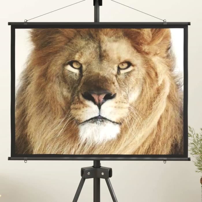 Garnaco Écran de projection 50' 4:3 85433 - Cdiscount TV Son Photo