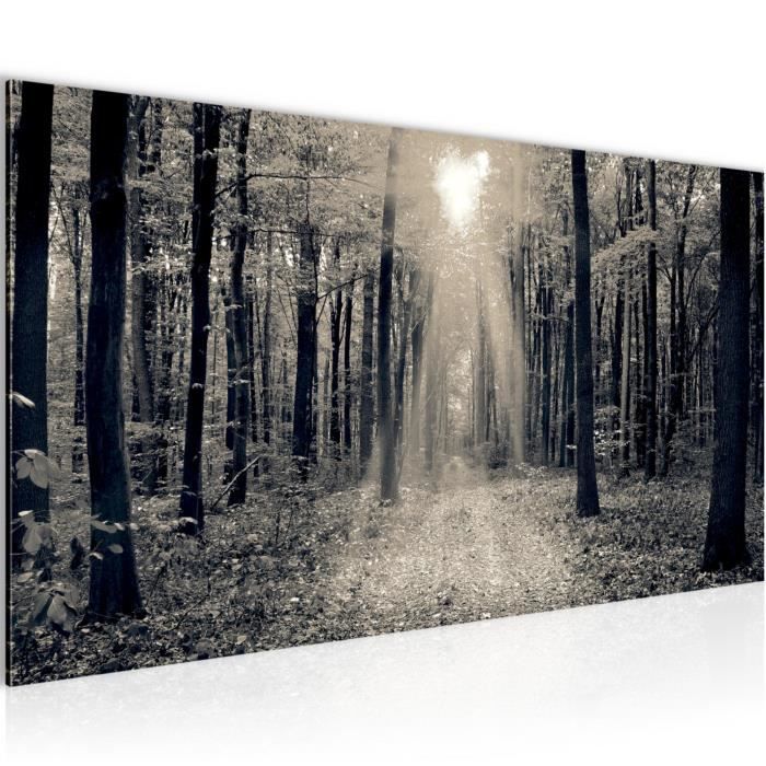 Runa art Tableau Décoration Murale Paysage de la Forêt 100x40 cm - 1 ...