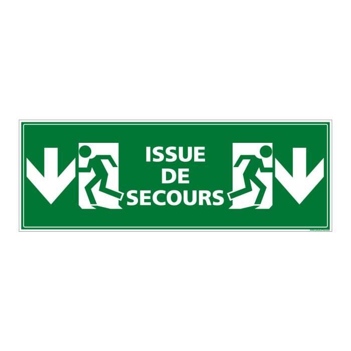 Panneau Issue de Secours Flèches vers le Bas - SIGNALETIQUE.BIZ FRANCE - 210 x 75 mm - Aluminium ...