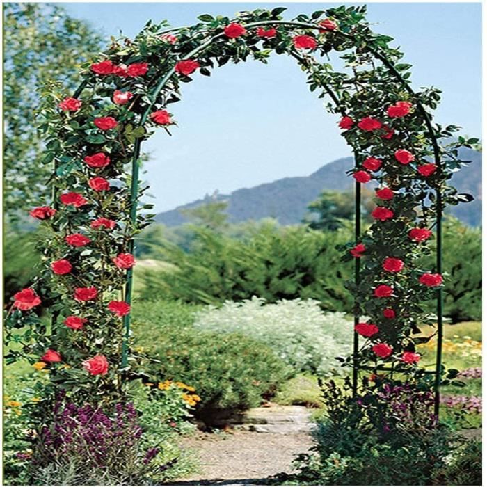 Arche de Jardin Support de Fleur de 1.2MX2.2M, Arcade de Rosiers pour ...