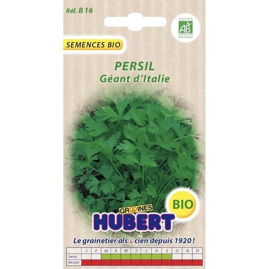 Graines De Persil Géant D'Italie Bio - 3 Grammes[z2602] - Cdiscount Jardin