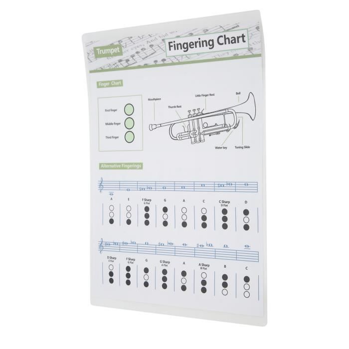VINGVO tableau de notes de trompette Trompette Chord Chart Doigté Note ...