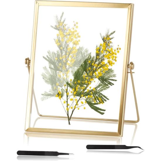Cadre Transparent, 15x20cm Cadre Photo Moderne Doré, Cadres en Verre ...