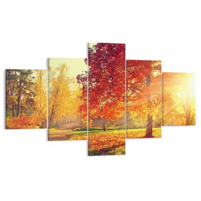 Impression sur toile - Image sur Toile - 5 Parties - parc automne arbre ...