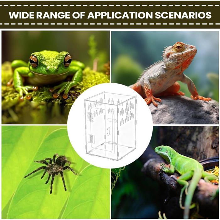 Terrarium pour Mygale Boîte en Acrylique Transparent pour Habitat avec ...