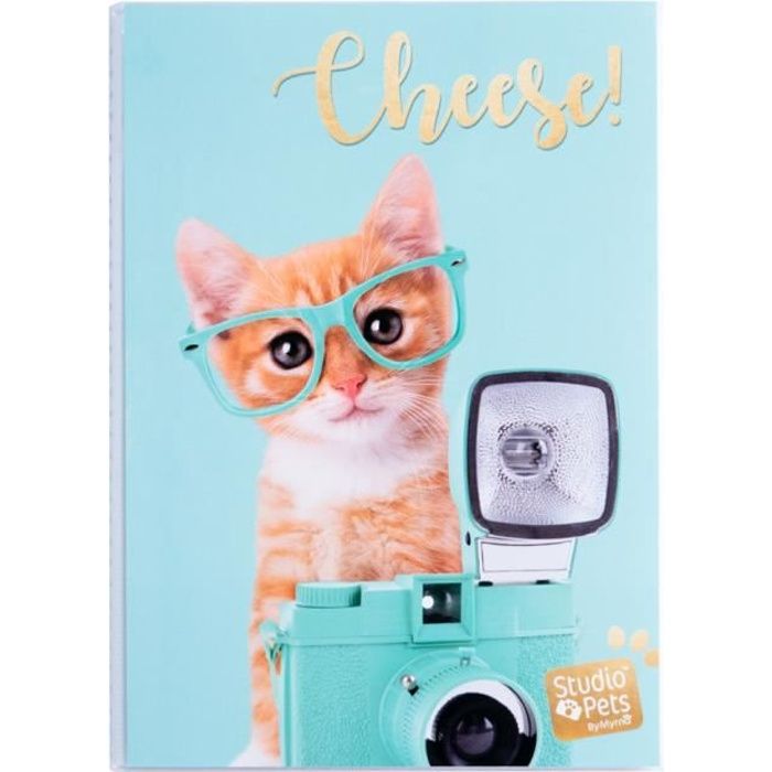 Album photo souple 36 poches 10X15Cm Studio Pets Cat Rayben - Cdiscount ...