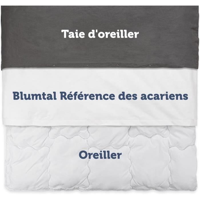 Housses Anti-Acariens Pour Personnes Allergiques - Housse De Couette ...