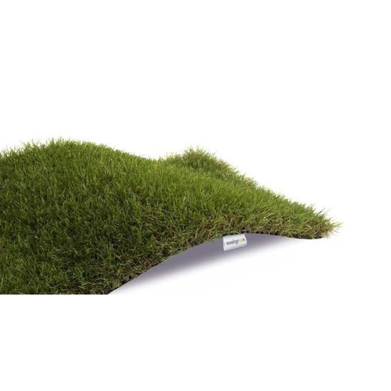 EXELGREEN Gazon synthétique Supertouch BB 51638 - 2x5m - Cdiscount Jardin