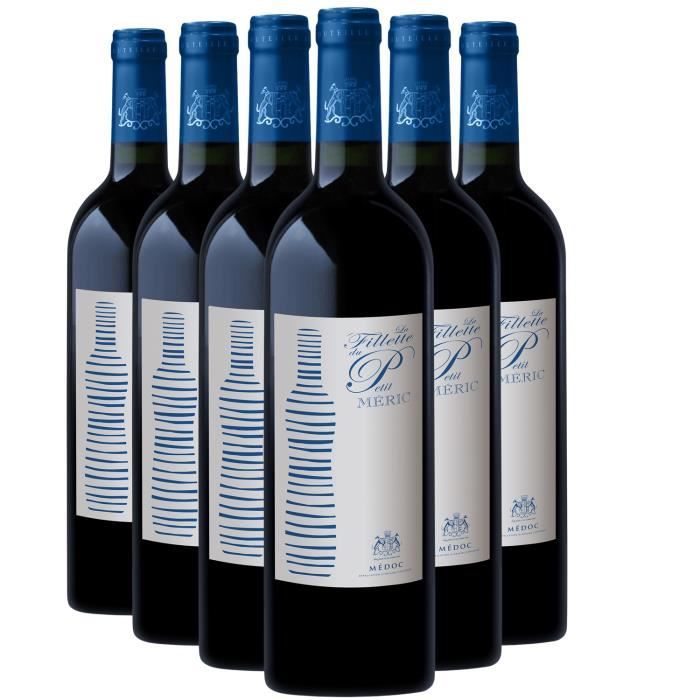 La Fillette du Petit Méric Rouge 2019 - Lot de 6x75cl - Château Méric ...