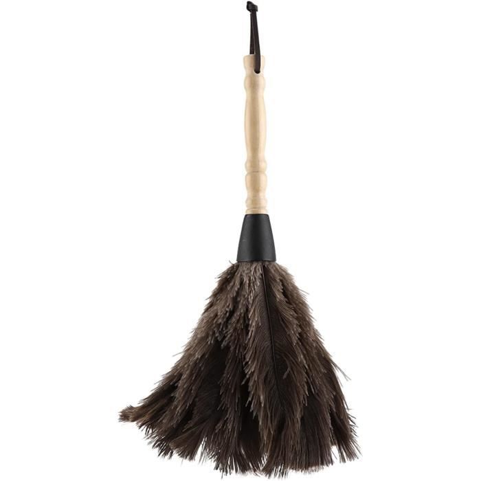 Plumeaux D'Autruche, Mini Plumeau Avec Manche En Bois Plumeau De ...