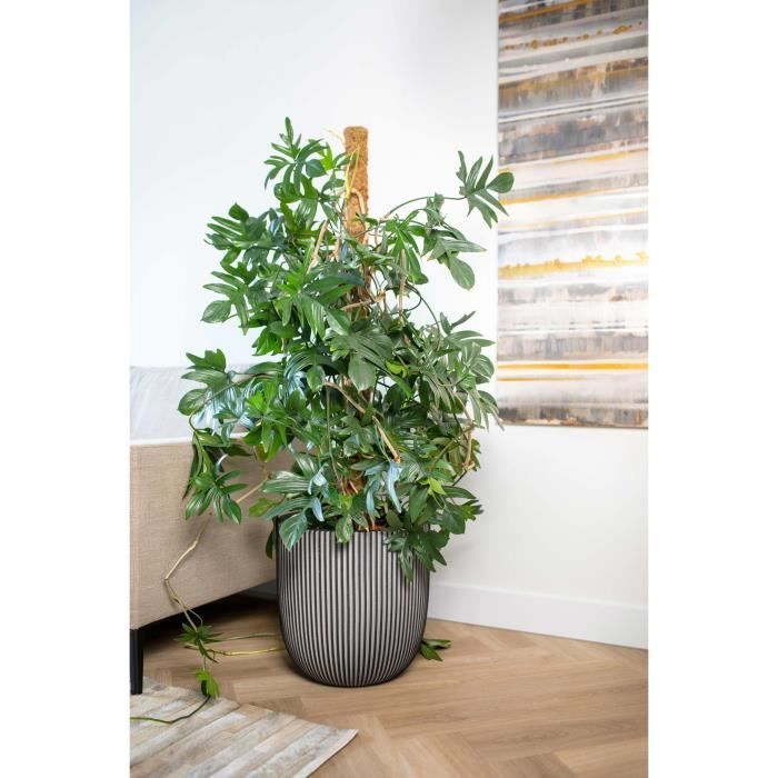 CAPI EUROPE Pot de fleurs boule GROOVE NL - 43x41 cm - Anthracite ...