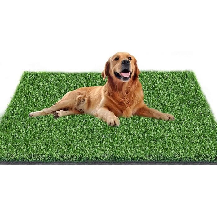 Gazon artificiel pour chien Fortune Star,tapis pour chien en gazon ...