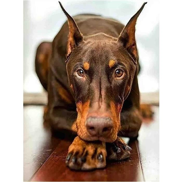 Diamond Painting Diamant Peinture Doberman Chien Bricolage Strass ...
