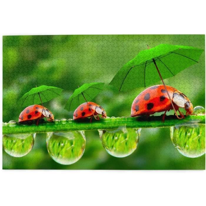 Funny Ladybug Puzzle De 1000 Pièces \ Chaque Pièce Est Unique \ Pour Adulte Et Enfant[u8835 ...