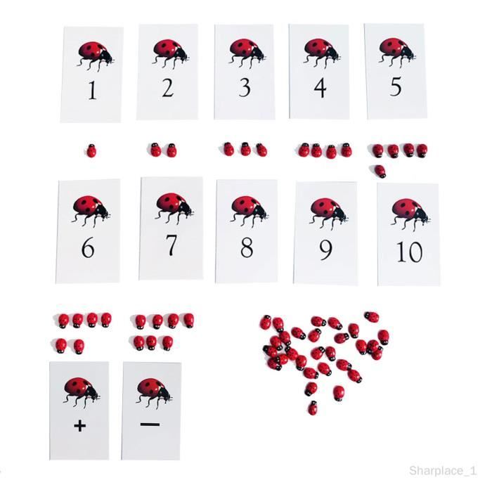 Jouets éducatifs en bois pour coccinelles, développer la motricité fine ...