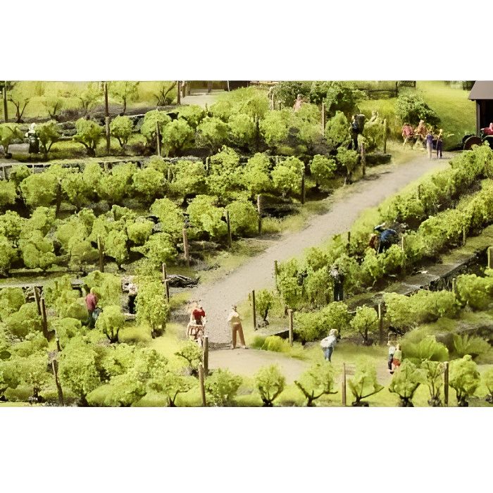 Vignes, 24 pieds - Cdiscount Jeux - Jouets