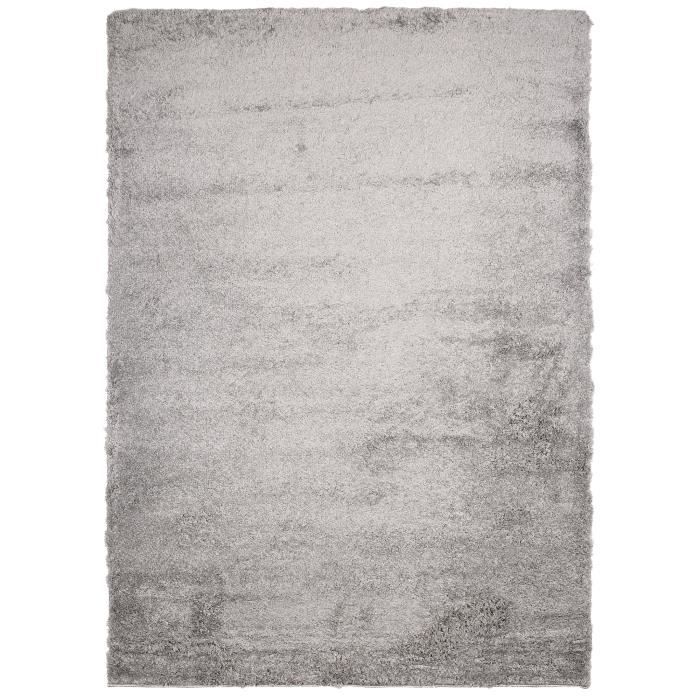 TAPISO Tapis Salon Shaggy Poils Longs EVRA Gris Clair Unicolore ...