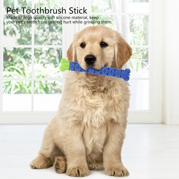 Bâton de nettoyant pour dents de chien, bâton molaire durable pour ...