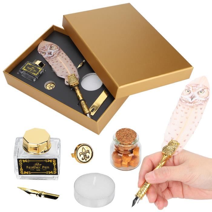 Qiilu Coffret de stylo plume Ensemble de Stylos Calligraphie à ...