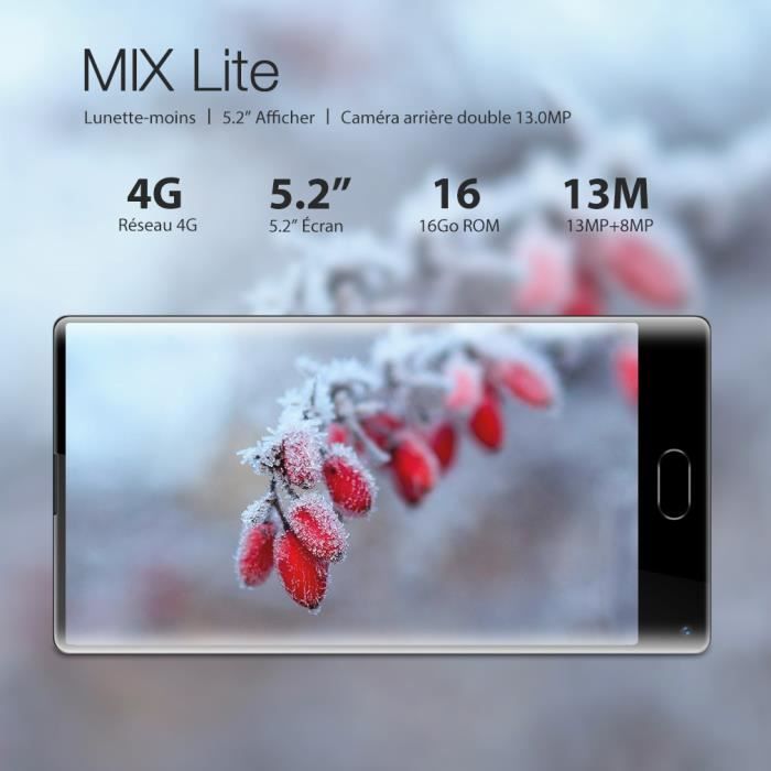 DOOGEE MIX LITE Smartphone 4G 5.2" Plein Écran 16Go Double caméra ...