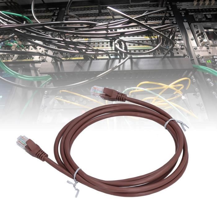 ZJCHAO Cable Ethernet CAT 5 UTP 100M - Double structure - Haute ...